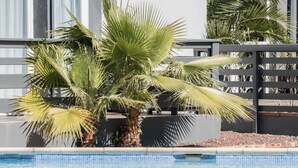 Uma área de piscina com palmeiras e um cercado de madeira.