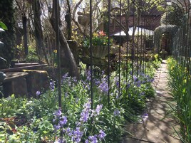 Um caminho de jardim cercado por plantas e flores diversas, que leva a um edifício de tijolos.