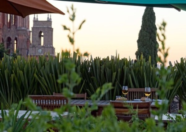 Casa De Los Olivos - San Miguel de Allende