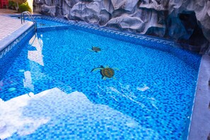 Piscina exterior 