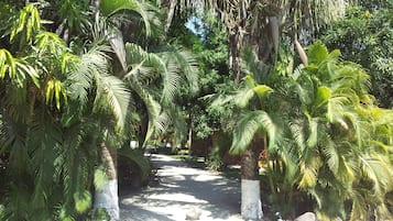 Entrada (vista interna)