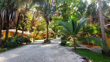 Uma trilha leva a uma fileira de edifícios amarelos, cercada por vegetação exuberante e palmeiras.