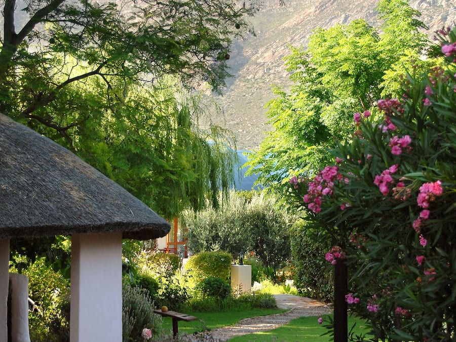 Piscina exterior, espreguiçadeiras