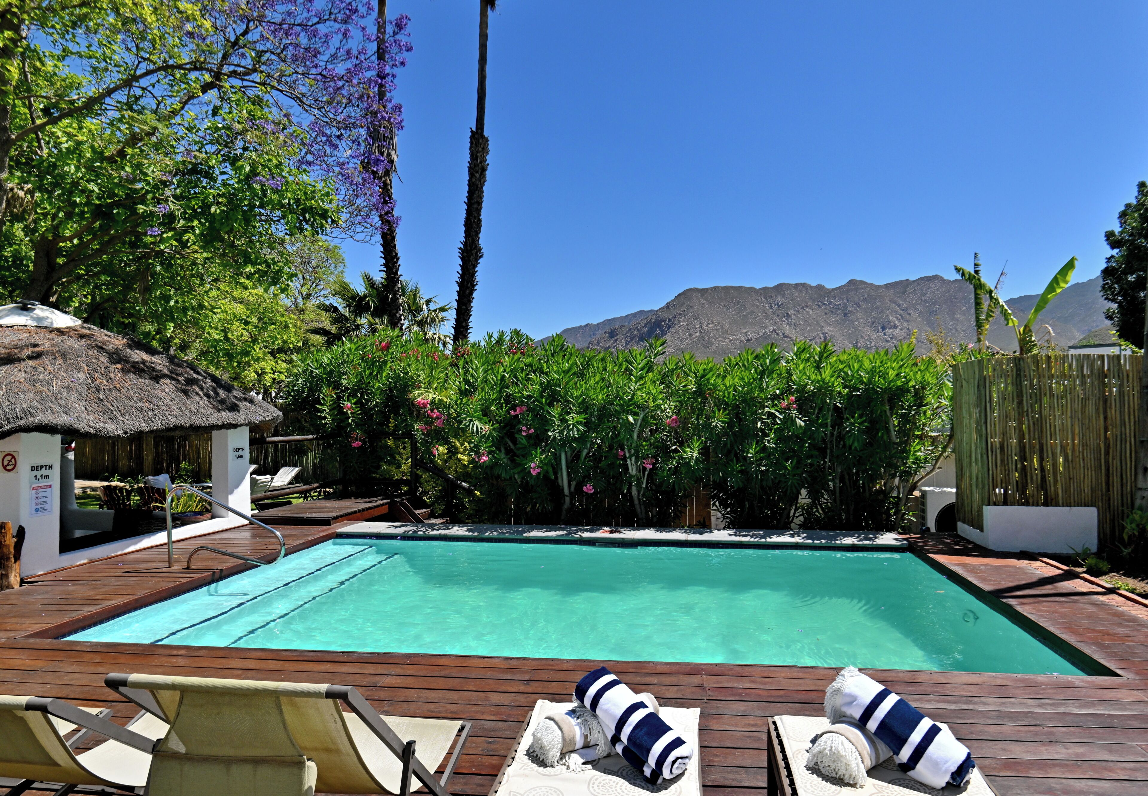 Piscina exterior, espreguiçadeiras 