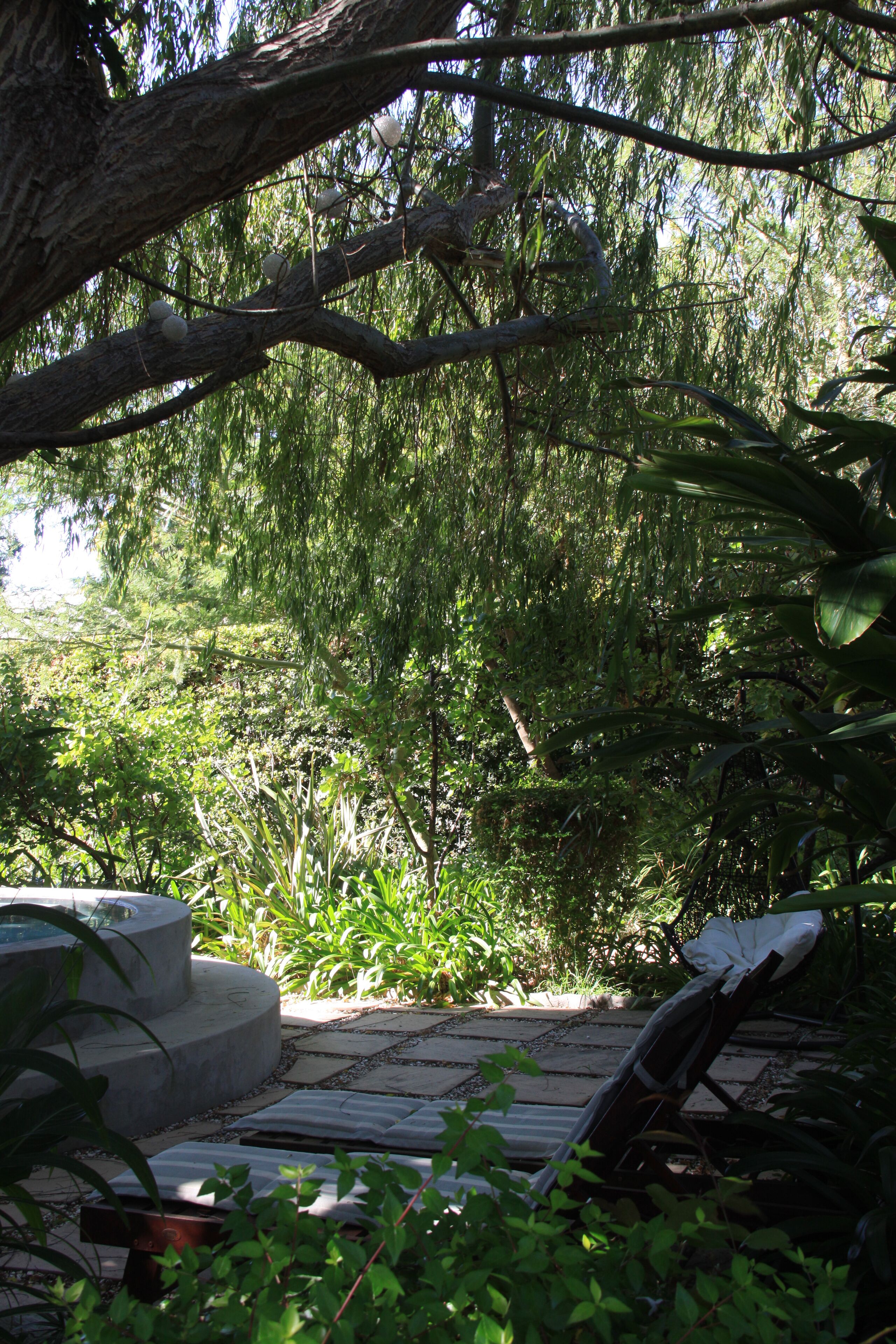 Uma área de jardim com um banco de pedra, uma árvore com galhos pendentes e vegetação exuberante.