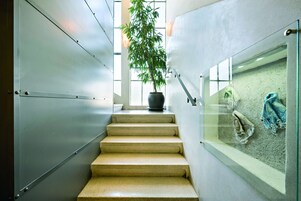 Escadas