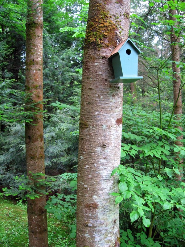 Stowe Cabins In The Woods - Stowe, VT