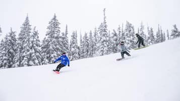 Snowboard