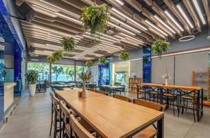 Um espaço interior moderno com mesas e cadeiras de madeira, plantas pendentes e vista para o exterior.
