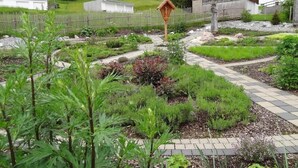 Um caminho no jardim com uma placa decorativa, rodeado por diversas plantas e uma cerca.