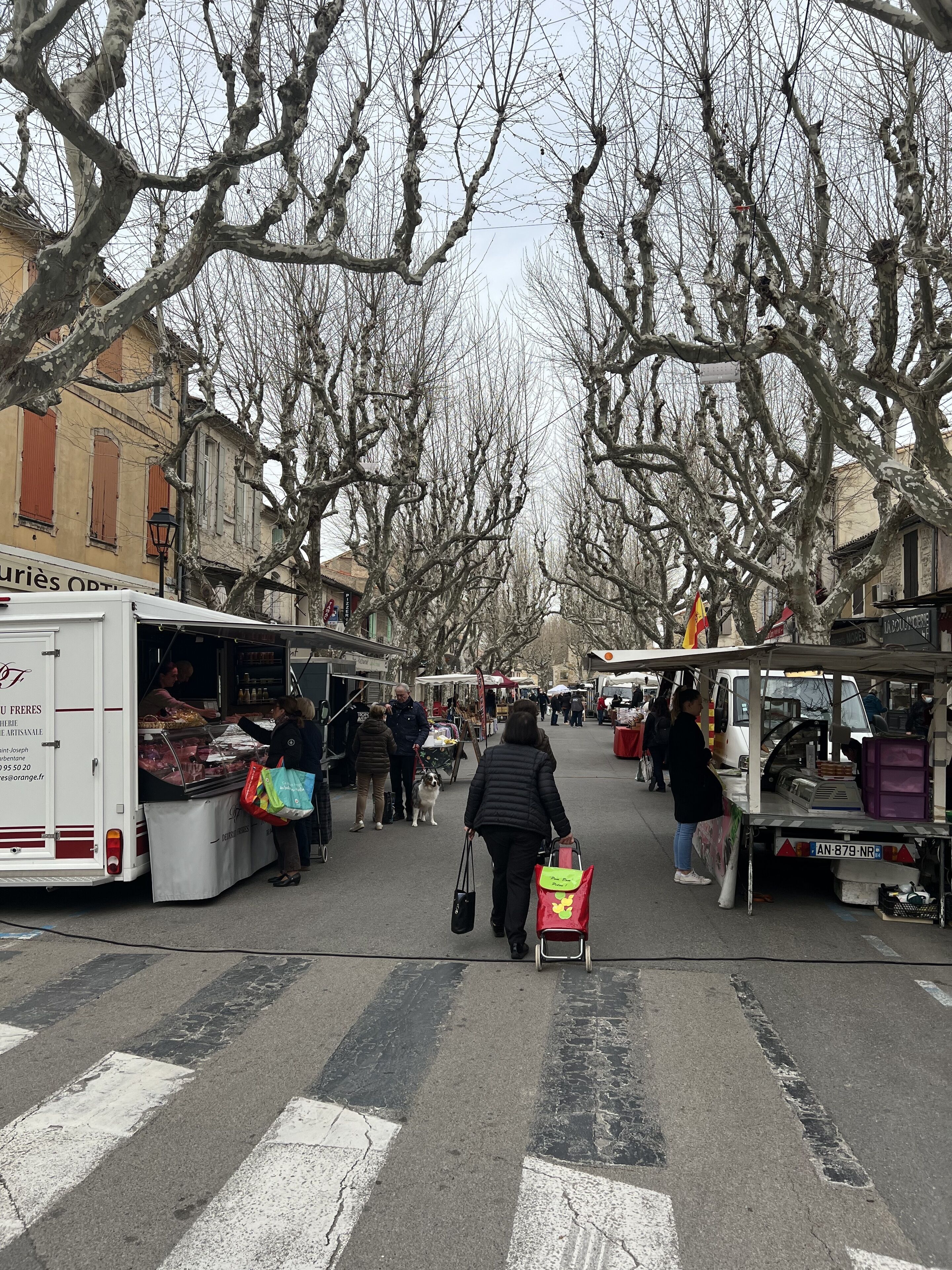 Rua com árvores desfolhadas e barraquinhas de mercado.