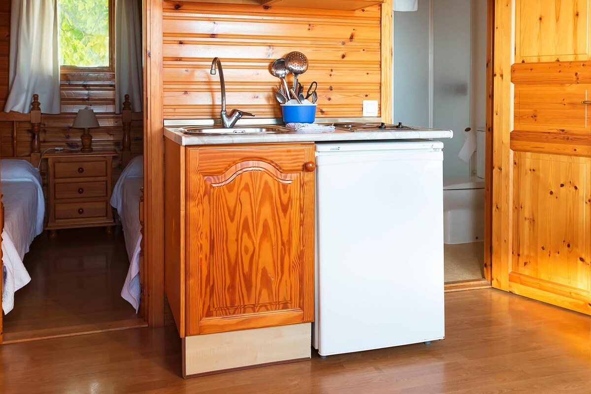 Uma cabana de madeira compacta com cozinha compacta, banheiro pequeno e dois quartos.