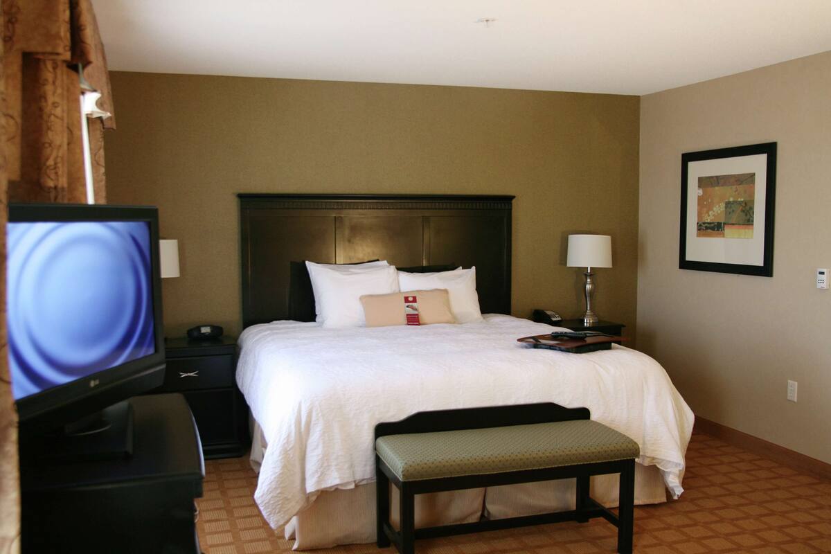 Quarto de hotel com uma cama, mesa de cabeceira, luminária, televisão e um banco.