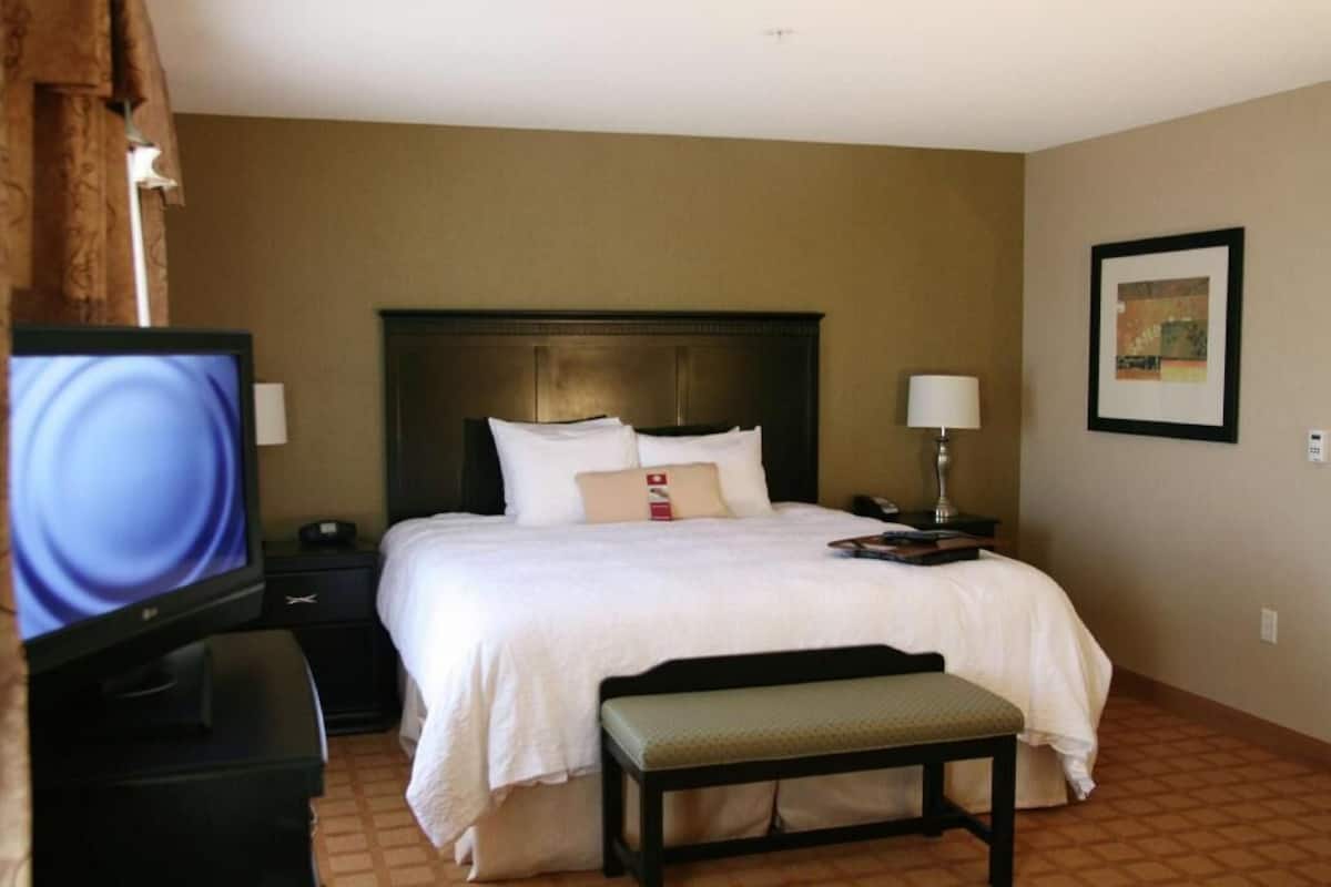 Quarto de hotel com cama, televisão, mesa de cabeceira, abajur e um quadro na parede.