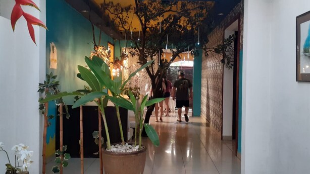 Um corredor com uma grande planta em vaso, uma parede com um quadro e um teto com luminárias pendentes.