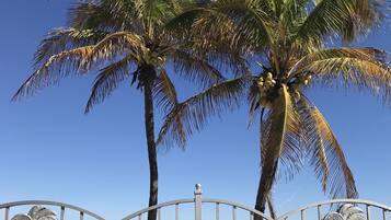 Estúdio Standard, vista para o oceano, junto ao mar | Ferro/tábua de engomar, Wi-fi grátis, acesso para cadeira de rodas