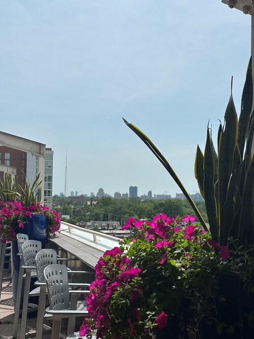 Moonrise Hotel Reviews, Deals & Photos 2024 - Expedia