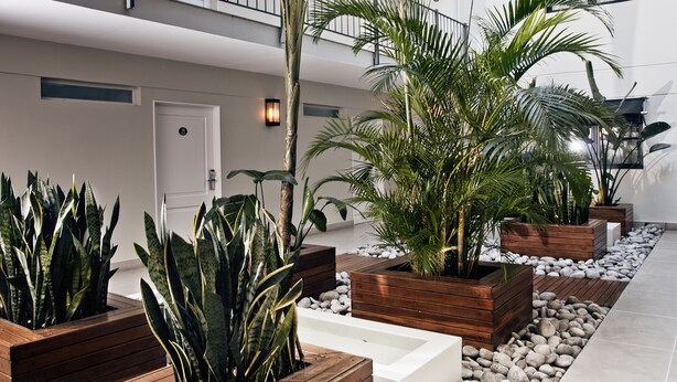 Um jardim interno moderno com plantas em vasos e uma porta branca.