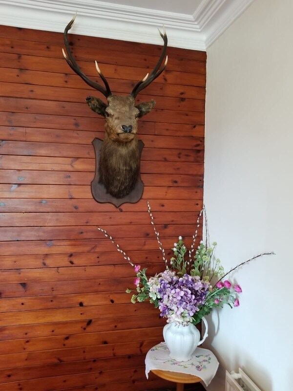 Glenan Lodge Self Catering - Écosse