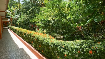 Jardim