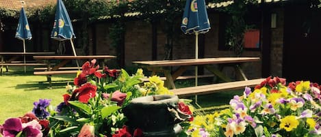 Jardim