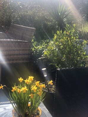 Terrenos do alojamento