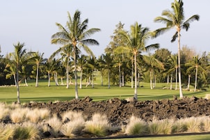 Um campo de golfe com palmeiras e um primeiro plano rochoso.