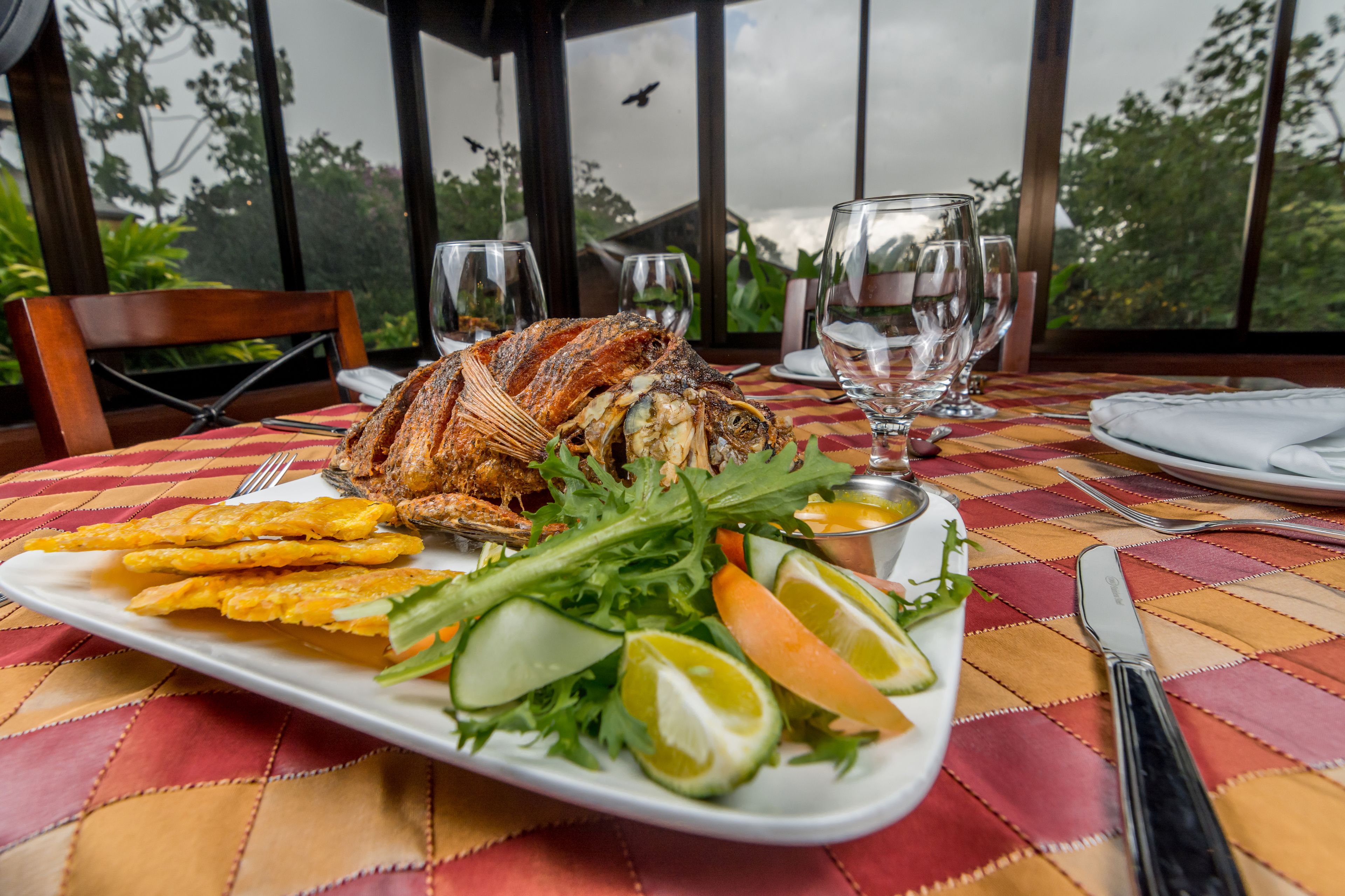Uma mesa de jantar com prato de peixe, salada e bebidas.