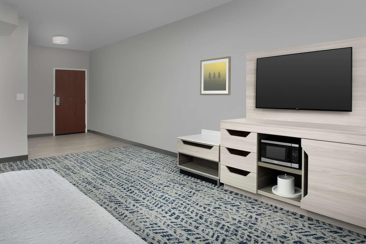 Quarto de hotel moderno com uma cama grande, uma TV de tela plana na parede, um armário de madeira com micro-ondas e um tapete estampado.