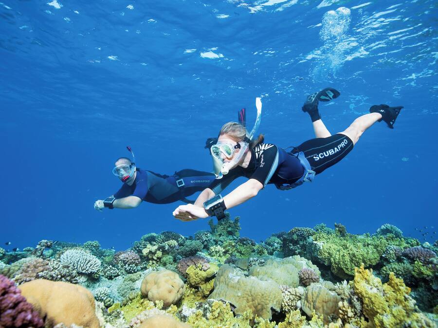Mergulhador debaixo d'água com um recife de coral ao fundo.