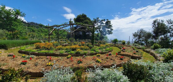 Fattoria Terranova - Kampanien