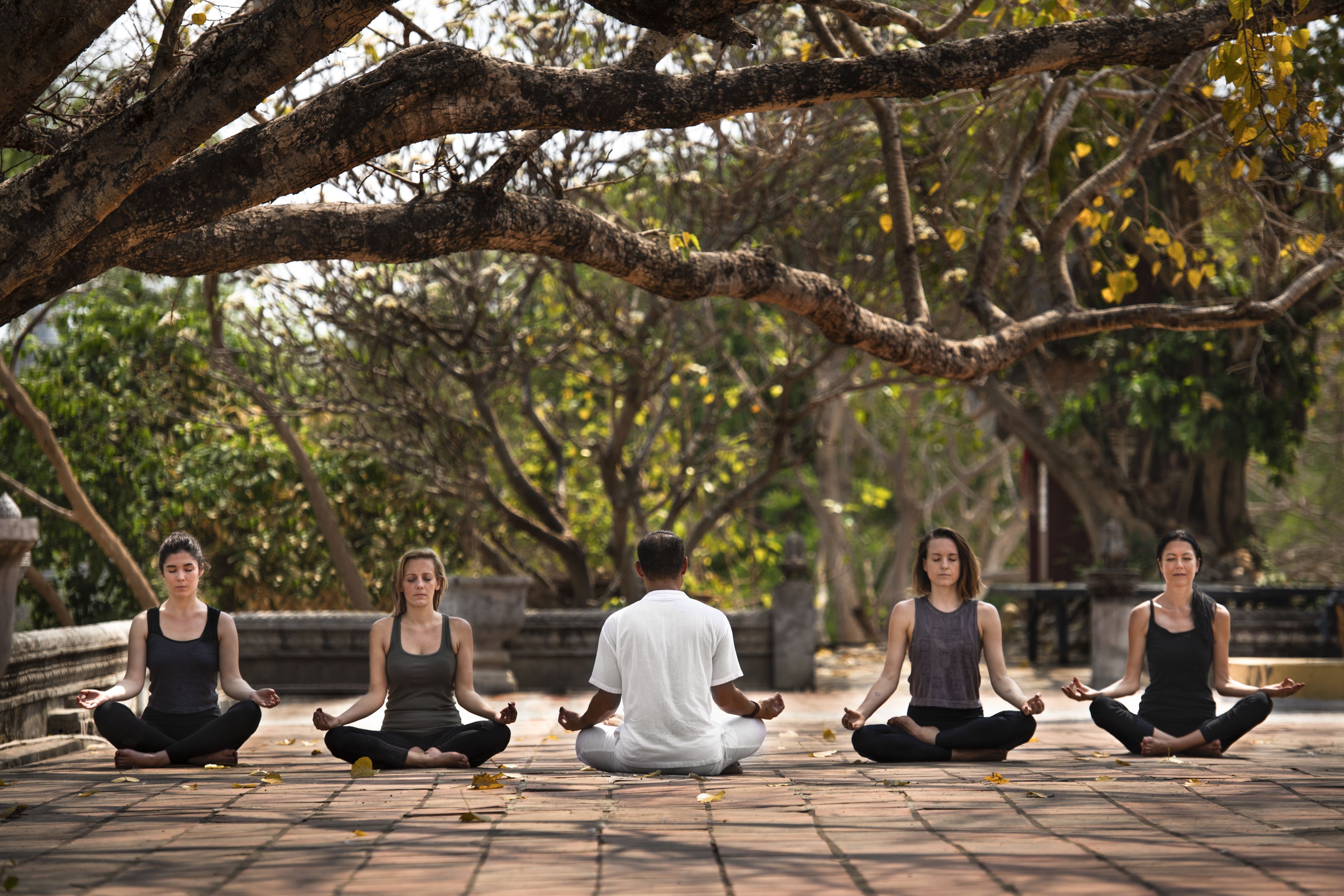 Quatro pessoas meditando em um parque com árvores e um caminho de pedra.