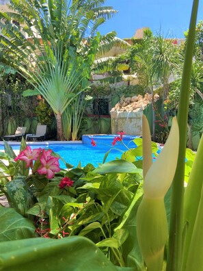 Piscina exterior, espreguiçadeiras 