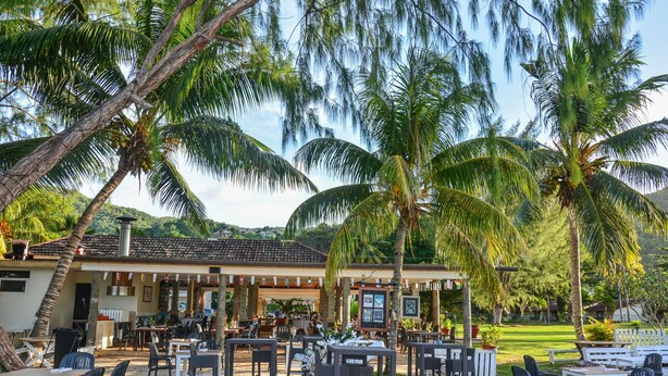 Restaurante ao ar livre com mesas e cadeiras, rodeado por palmeiras e um edifício com telhado de azulejos.