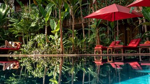 Uma área de piscina com espreguiçadeiras vermelhas e guarda-sóis, cercada por folhagem tropical exuberante.