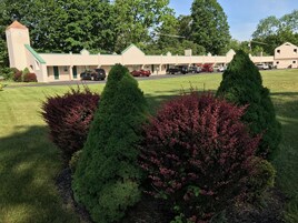 Terrenos do alojamento