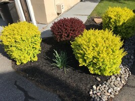 Terrenos do alojamento