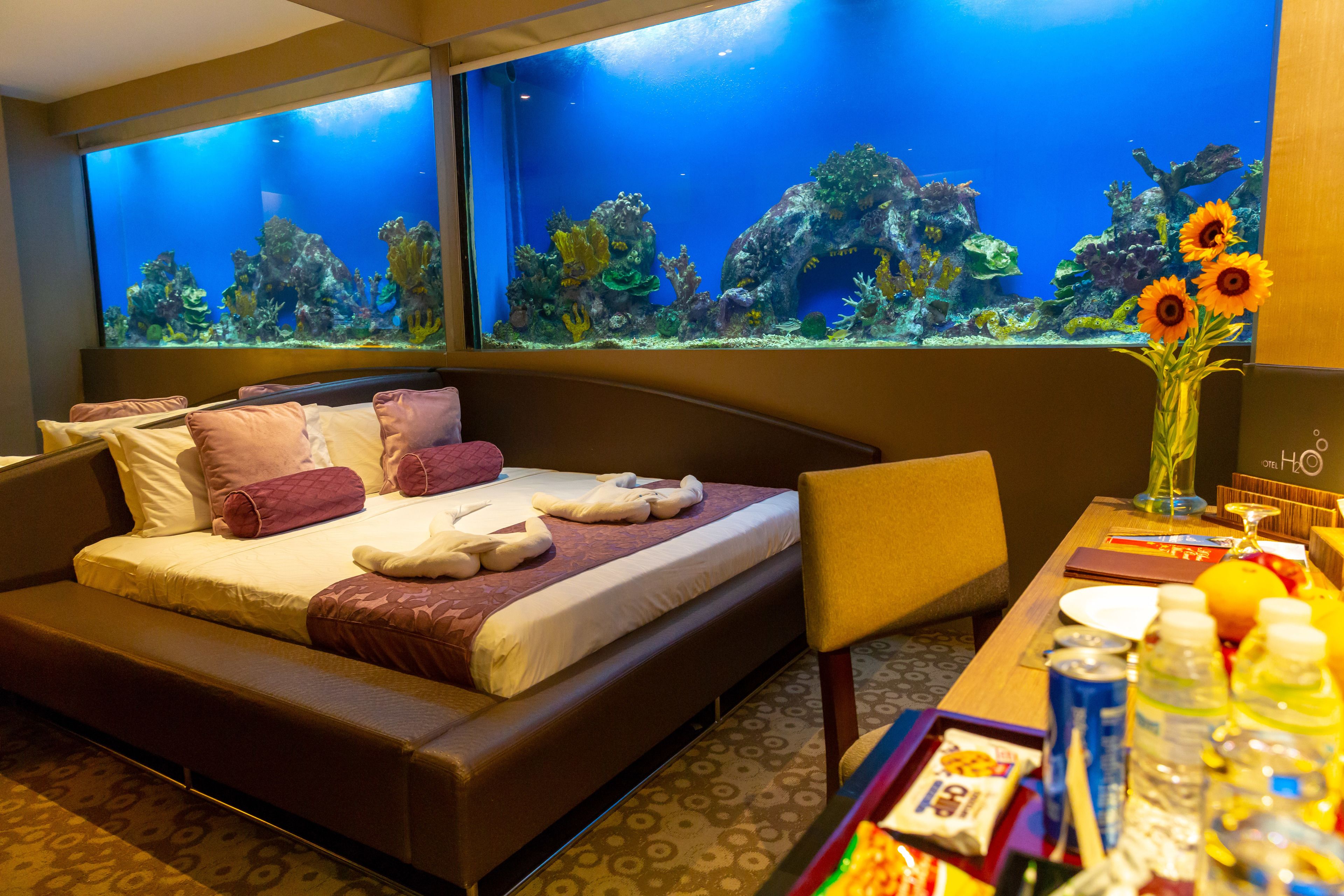 Hotel H2O Reviews, Deals & Photos 2024 - Expedia