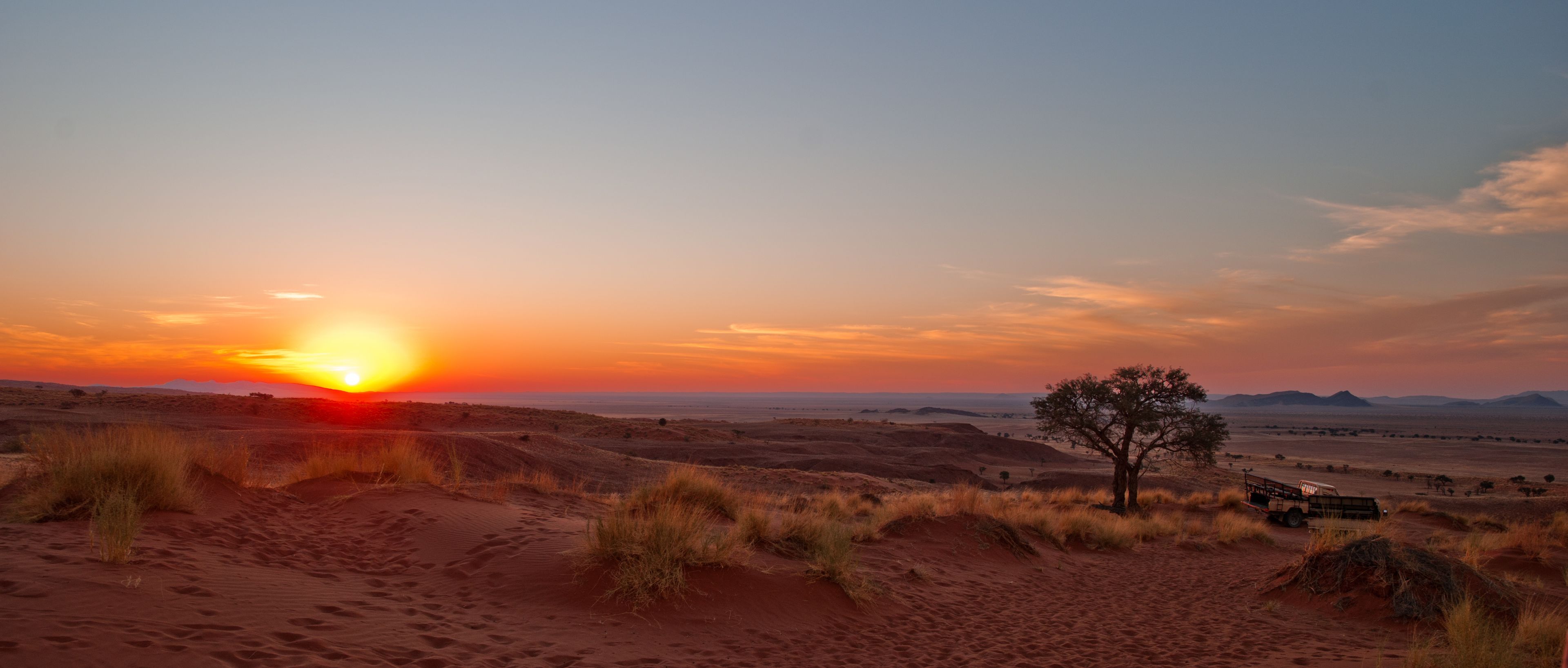 Paisagem desértica ao pôr do sol, com dunas de areia, vegetação rasteira e uma única árvore.