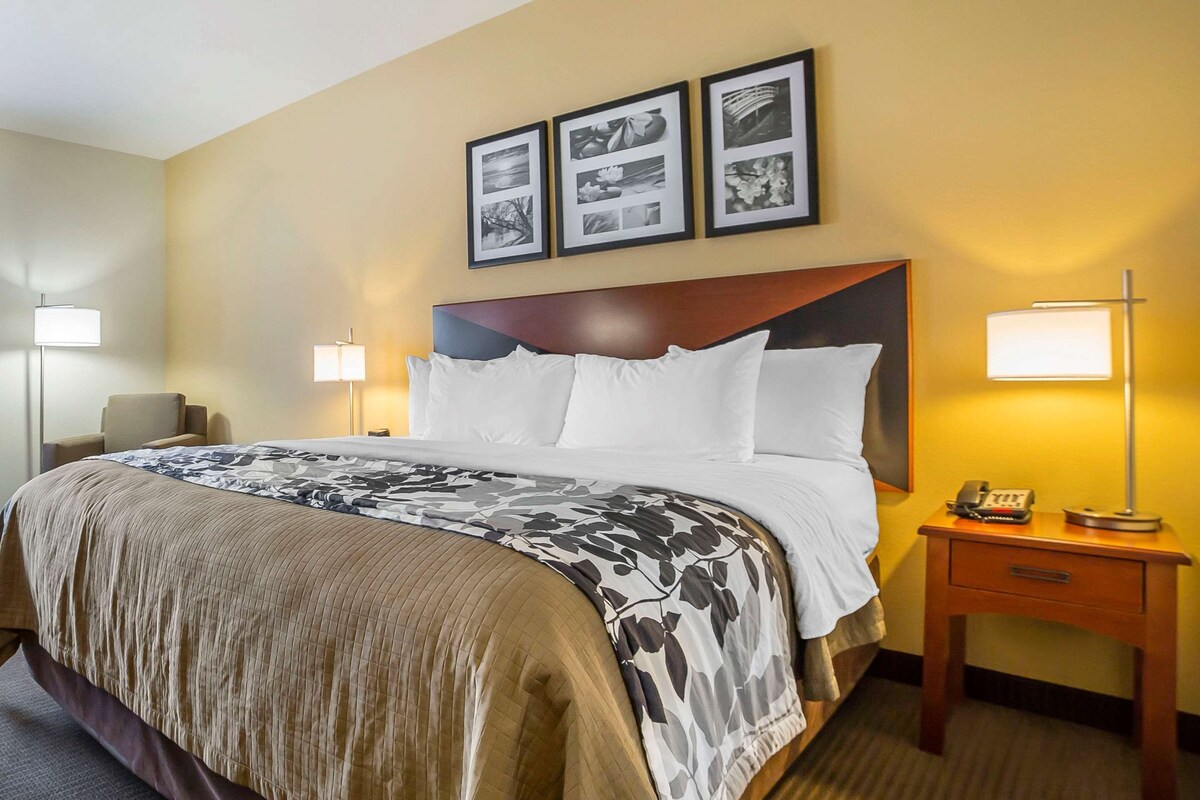 Quarto de hotel com uma cama grande, duas luminárias de cabeceira, uma mesa de cabeceira de madeira e três quadros na parede.