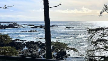 1 Bedroom Trail Ocean View Suite (short distance from main lodge) | 1 quarto, cofre no quarto, ferro/tábua de engomar, Wi-fi grátis