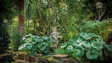 Jardim