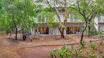 Pormenores do exterior