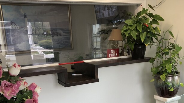 Uma área de recepção com uma janela, um aviso de 'Não Aceitamos Animais de Estimação', um vaso de planta e uma pequena mesa com abajur.