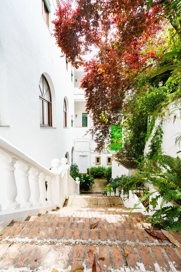 Entrada (vista interna)