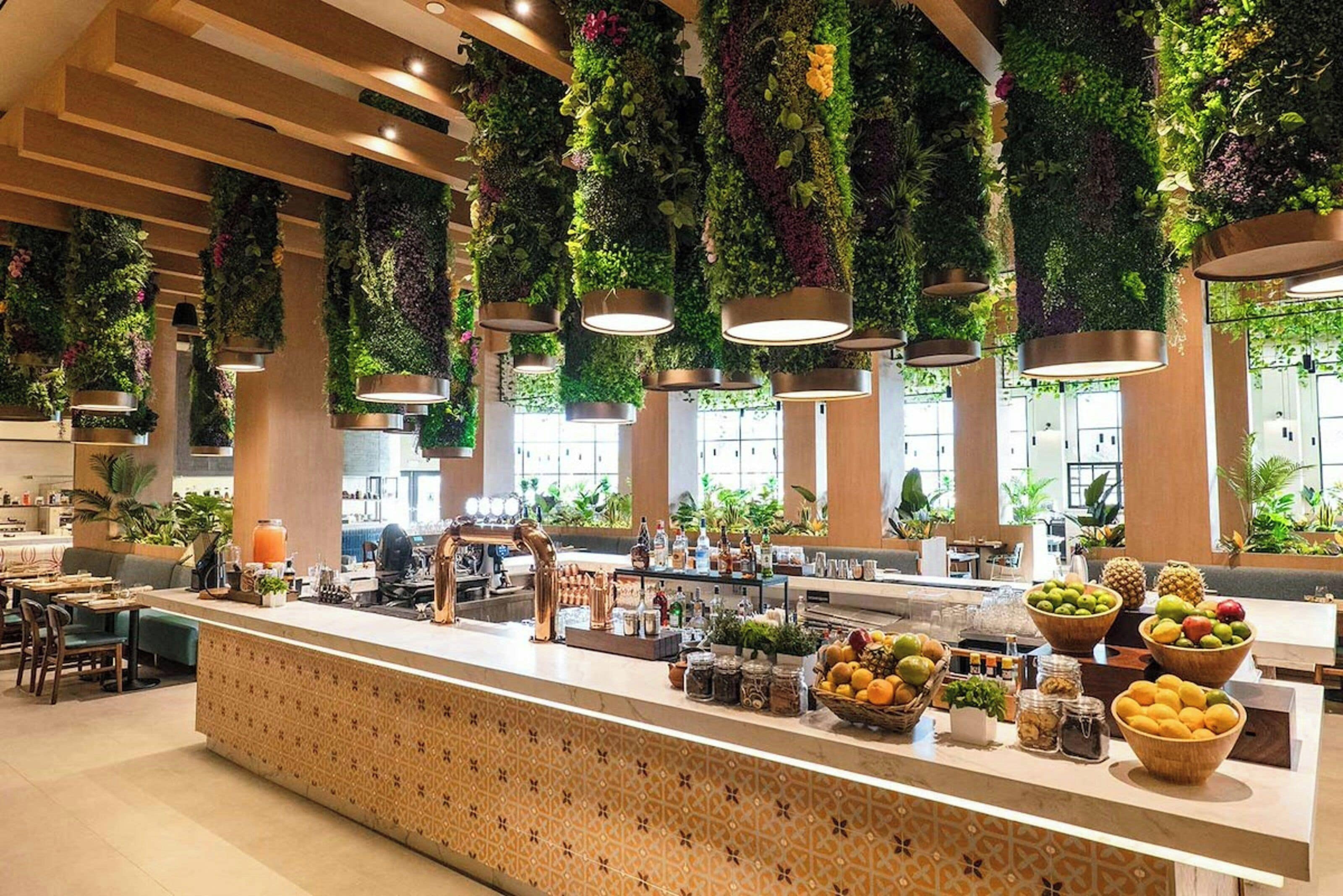 Um espaço amplo e interno, com um balcão extenso, diferentes opções de assentos e plantas penduradas.