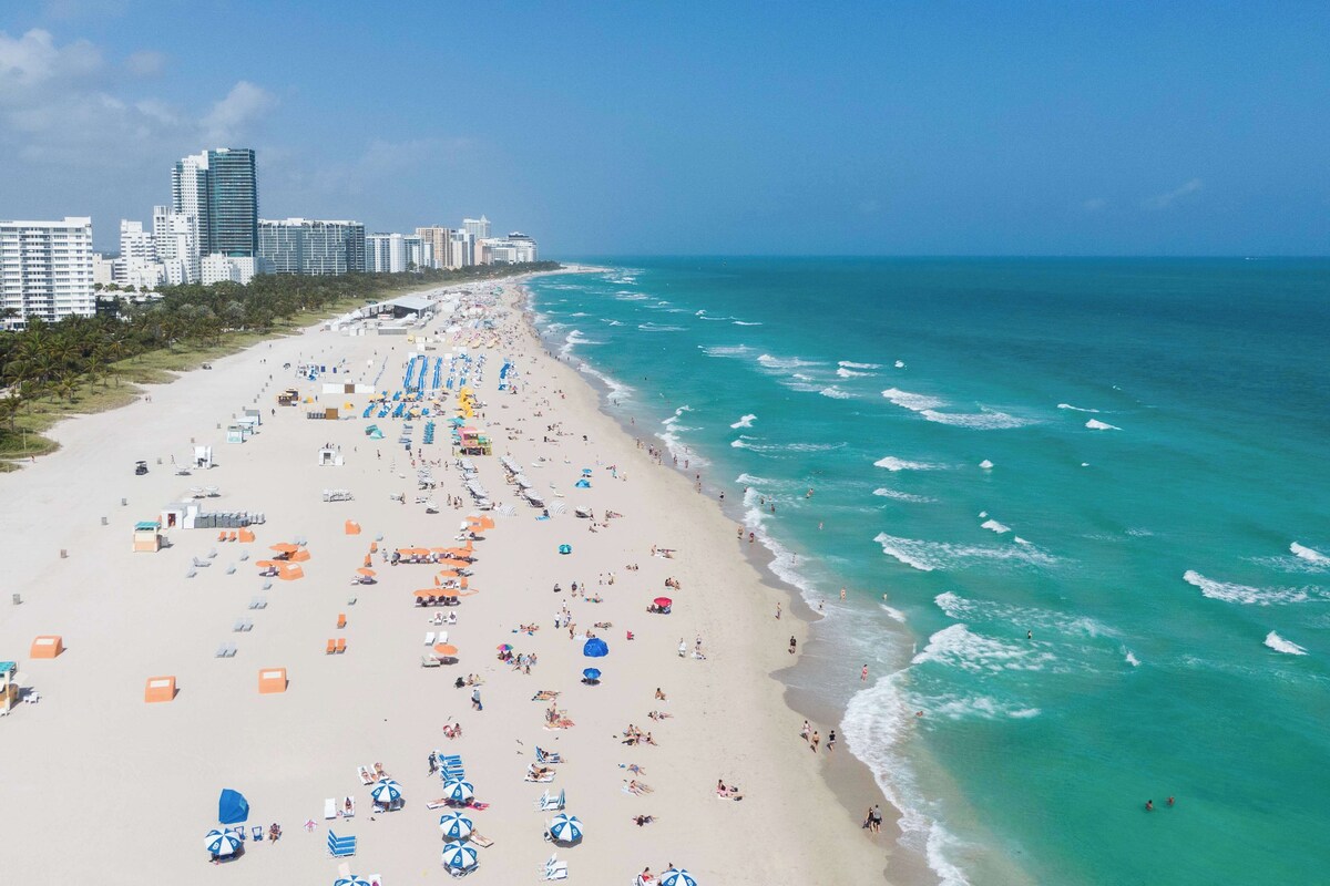 Z Ocean Hotel, Classico a Sonesta Collection Reviews, Deals & Photos ...