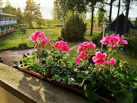 Caixa de plantas de madeira com flores cor-de-rosa numa varanda.