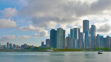 Linha do horizonte urbana com edifícios altos ao longo da orla.