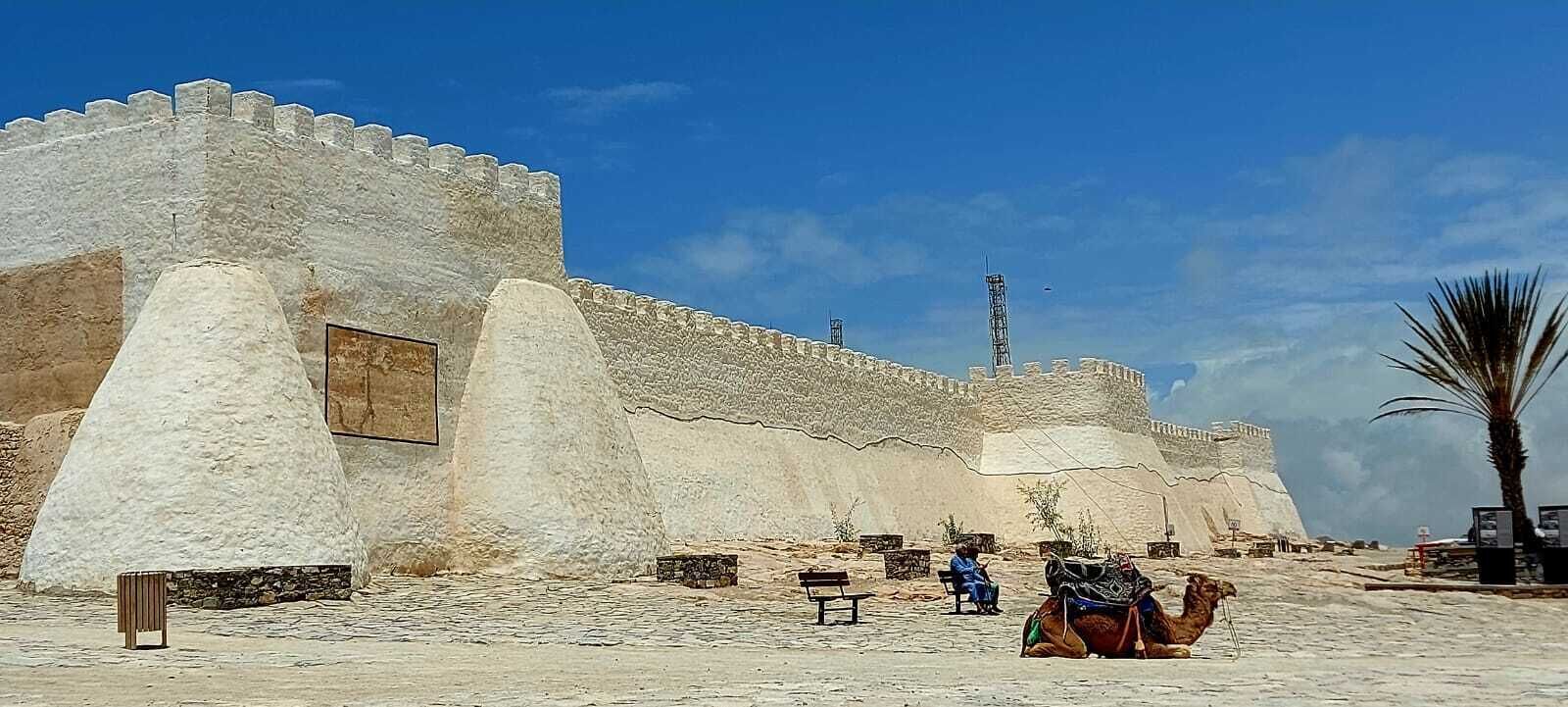 Um edifício histórico com uma entrada imponente e um camelo em primeiro plano.